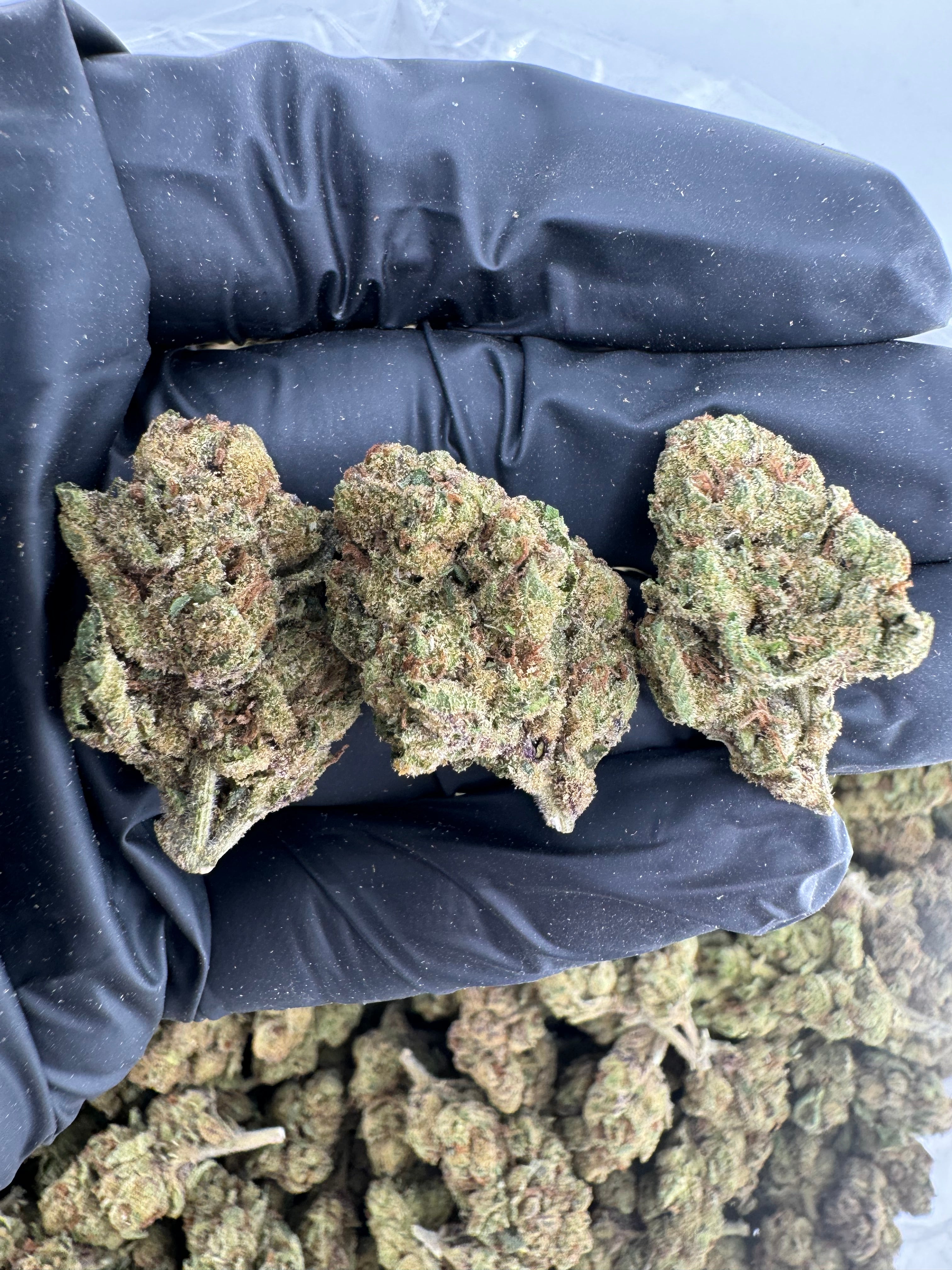 Blue Runtz Cannabis Strain - Premium Cannabis | Top Shelf Exotics