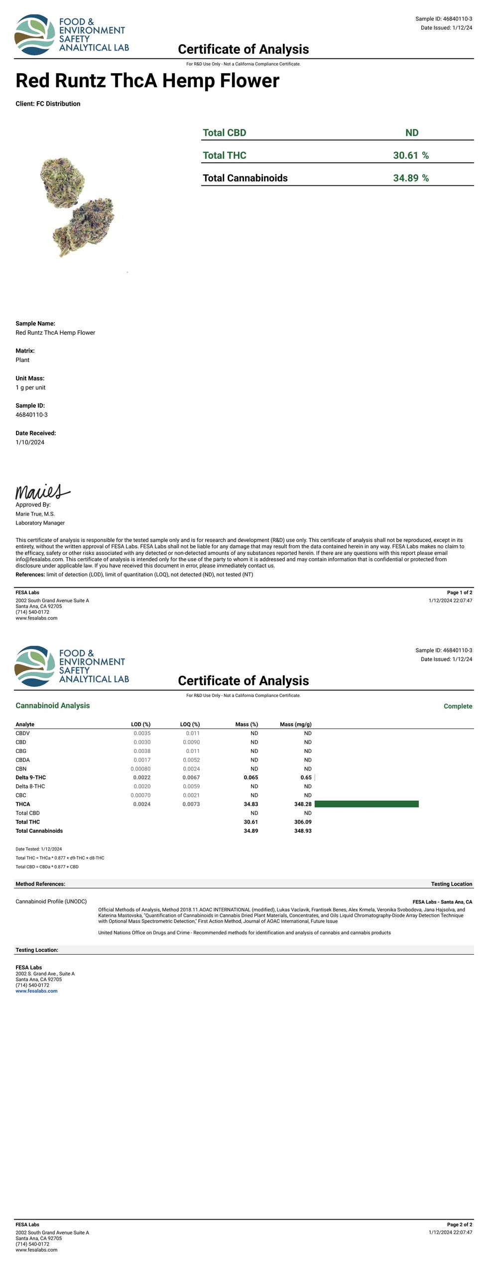 Red Runtz Strain - Premium Buds | Top Shelf Exotics