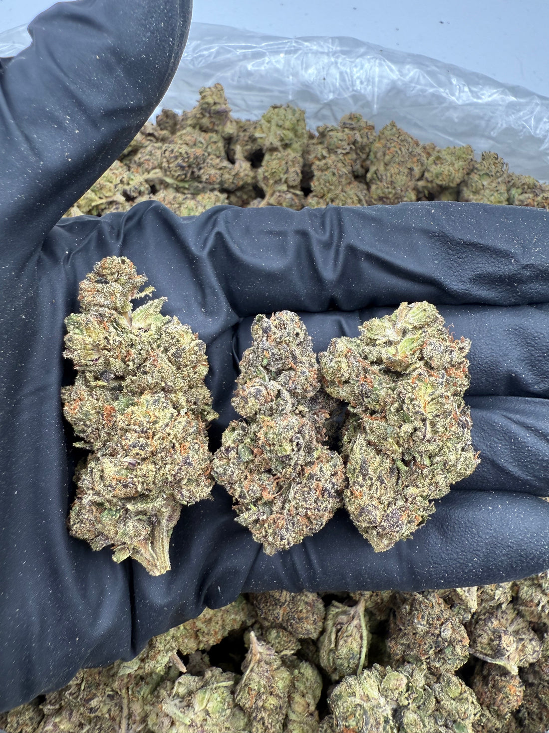Top Shelf Cannabis - Craft Strains | Top Shelf Exotics