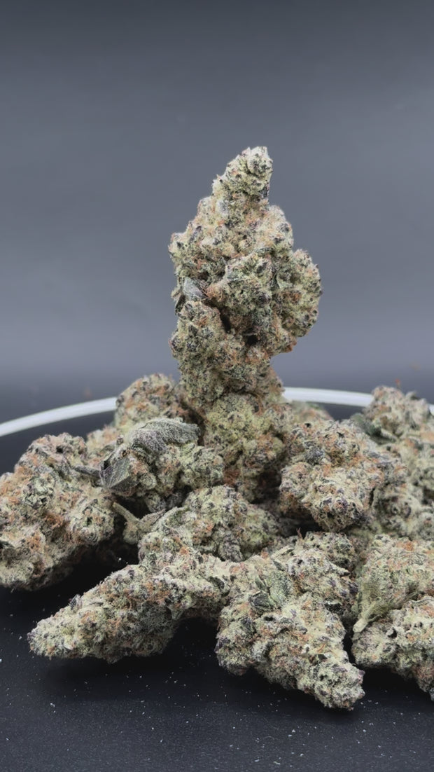 Sunset Runtz Strain - Exotic Cannabis | Top Shelf Exotics